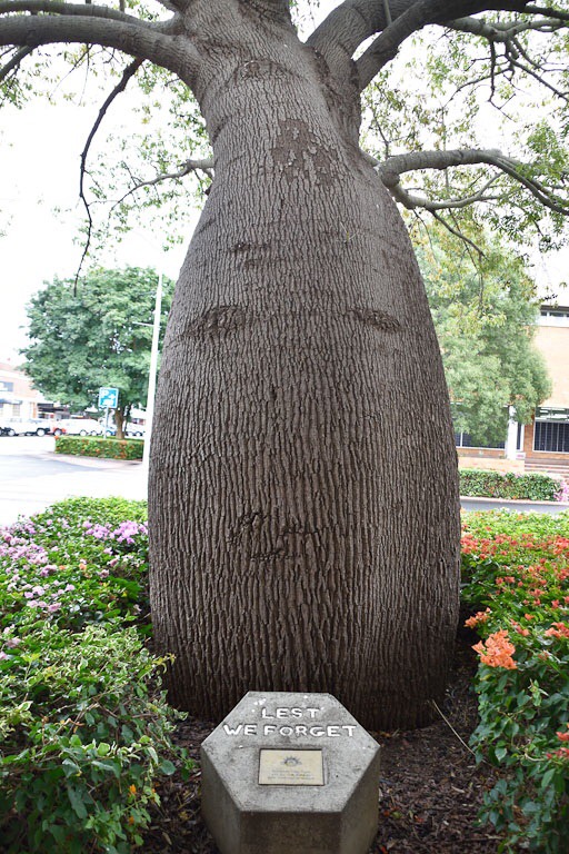 Roma Bottle Trees – itchingforhitching