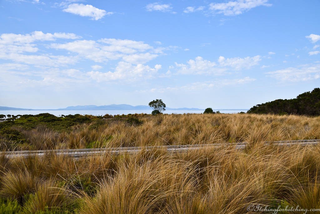 Toora Bird Hide – itchingforhitching