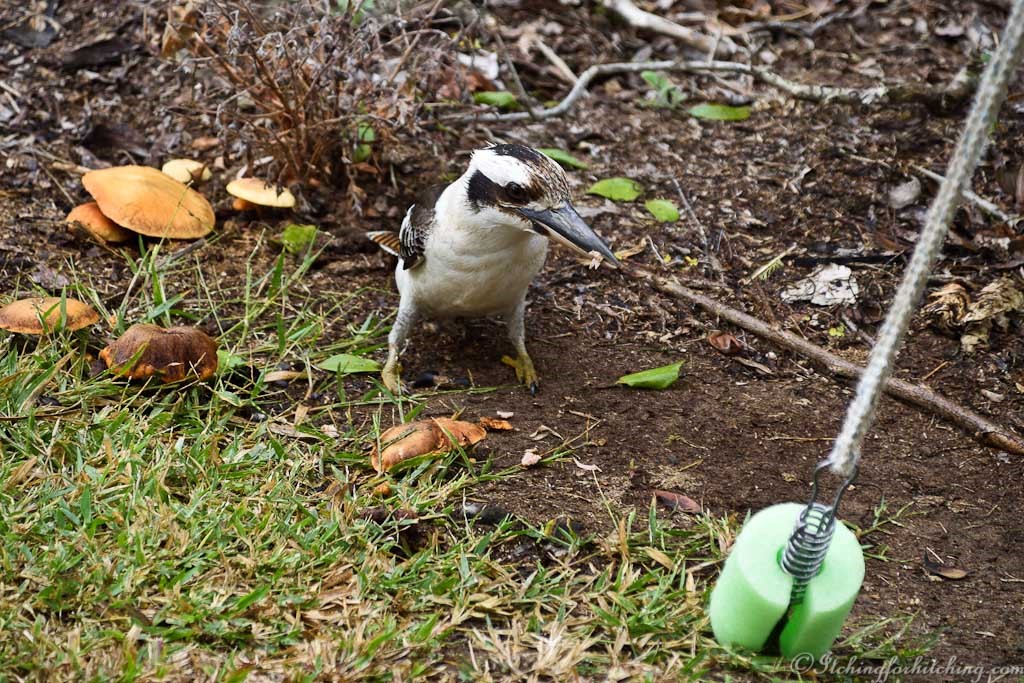 The Places We Love – Midge Point – itchingforhitching